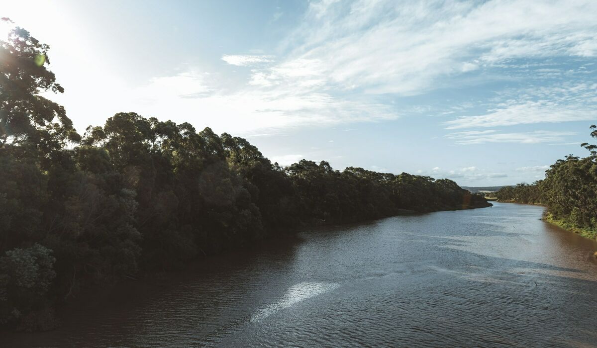 Orbost Travel Guide: Where to Eat, Stay and Play | Visit Gippsland