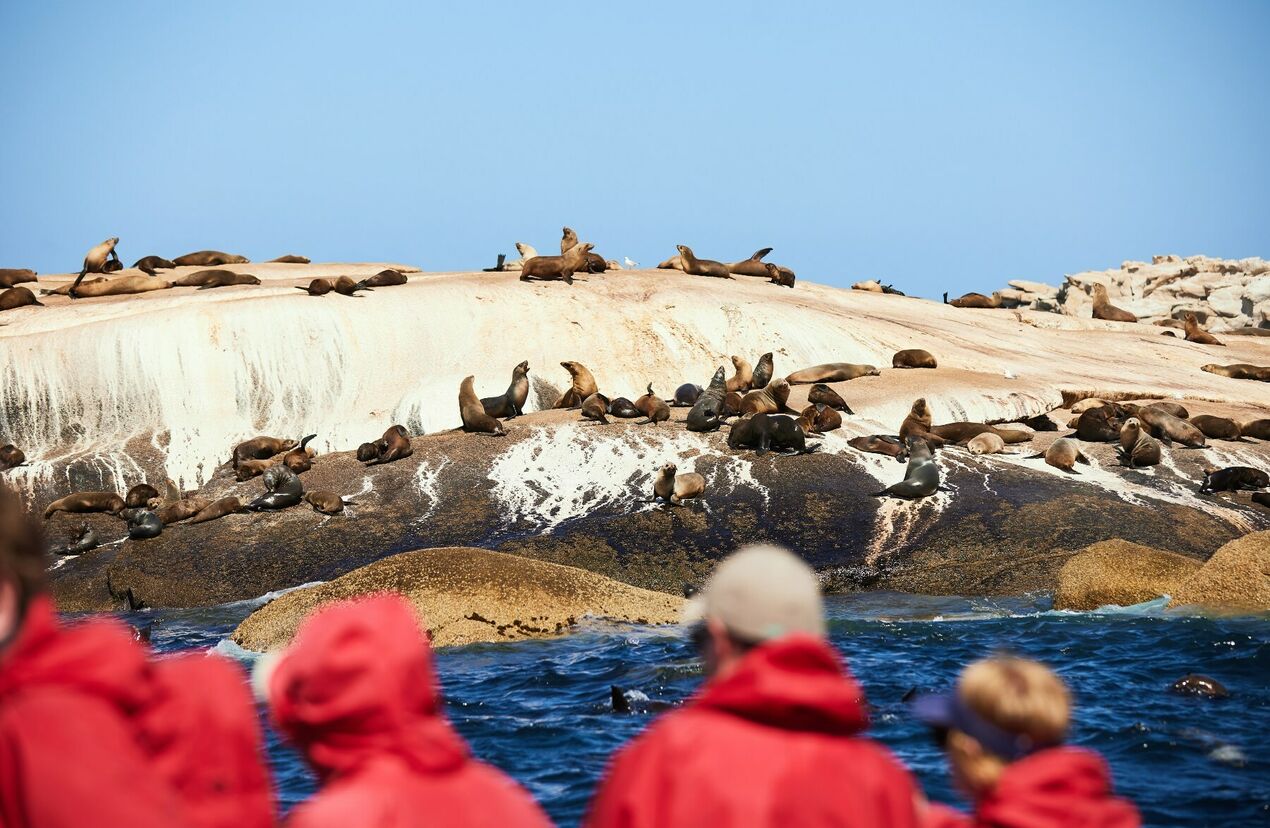 5 Reasons You Need a Cruise at Wilsons Prom | Visit Gippsland