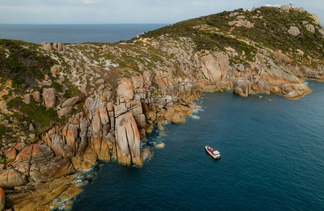 5 Reasons You Need a Cruise at Wilsons Prom | Visit Gippsland