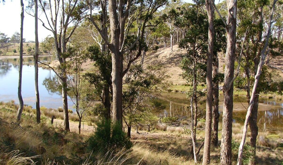 The Wool House: A Farm Stay Escape | Visit Gippsland