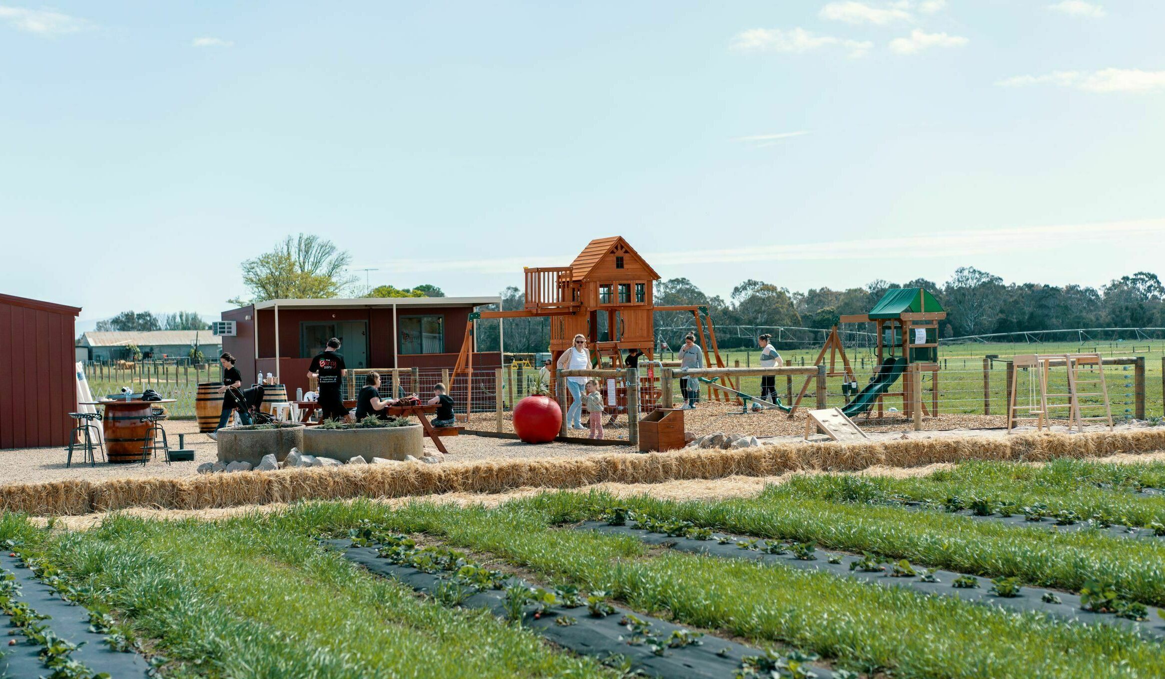 Berry Picking in Gippsland | Visit Gippsland
