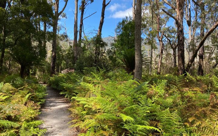 Wilsons Prom Hikes & Walks | Visit Gippsland