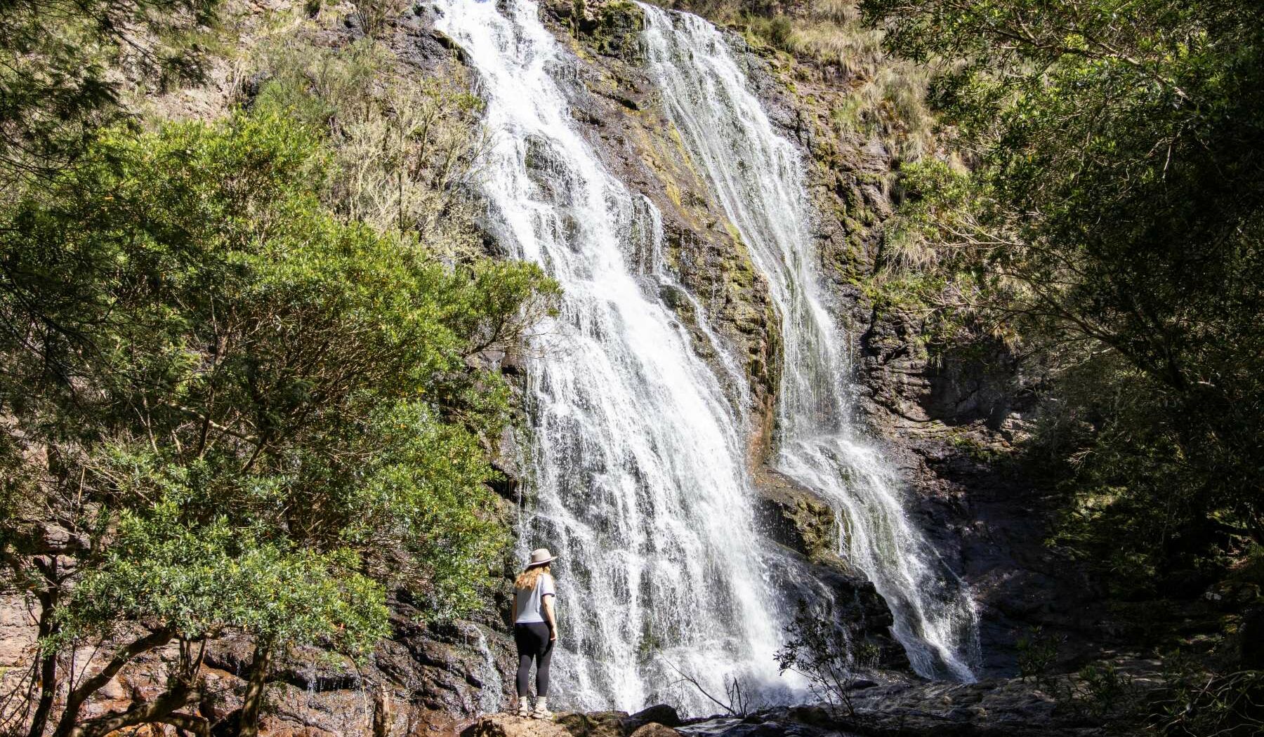 Basin Creek Falls Walk | Visit Gippsland