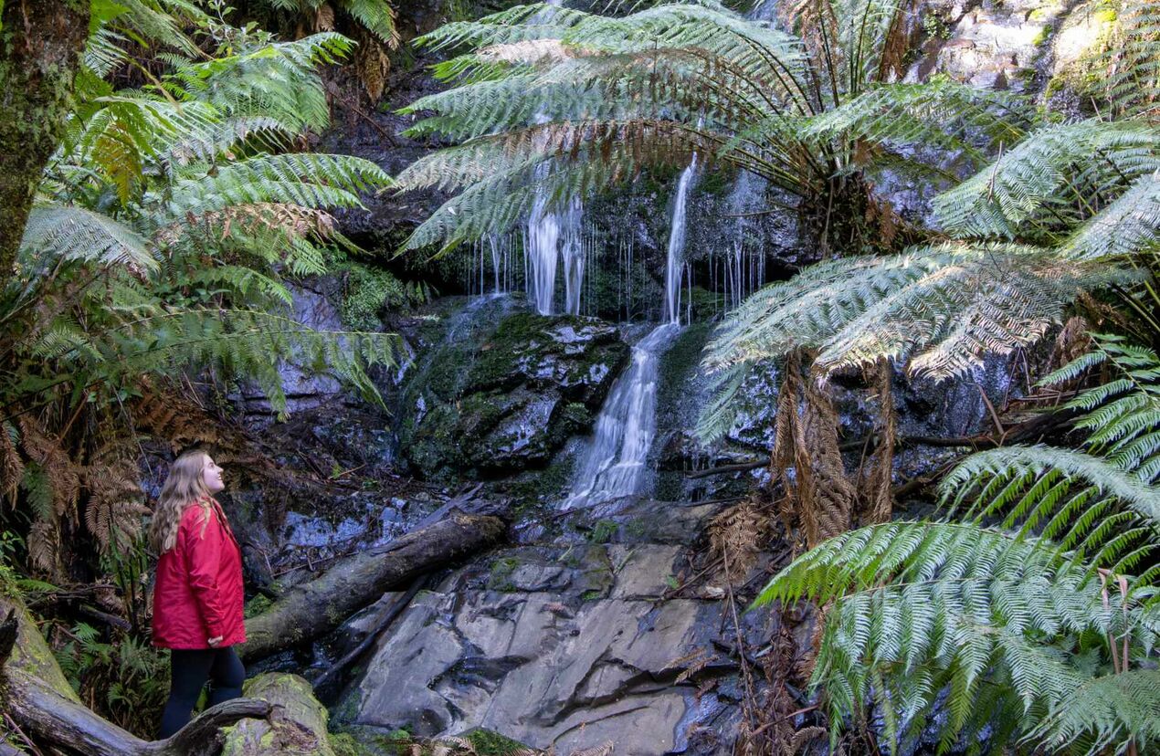 Yarram Tarra Valley Loop Drive | Visit Gippsland