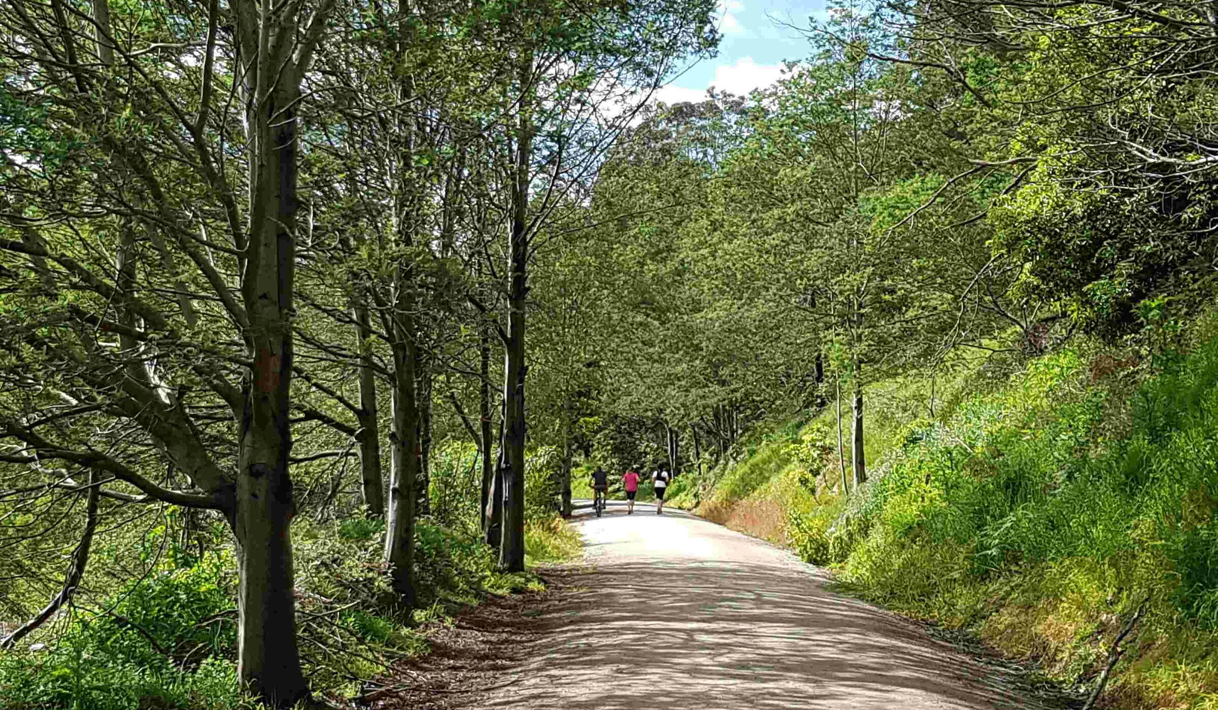 Southern Rail Trail Run | Visit Gippsland