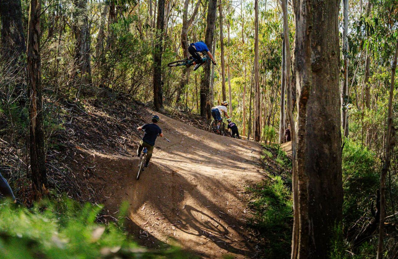 Spring road trip sorted: Great Alpine Road | Visit Gippsland