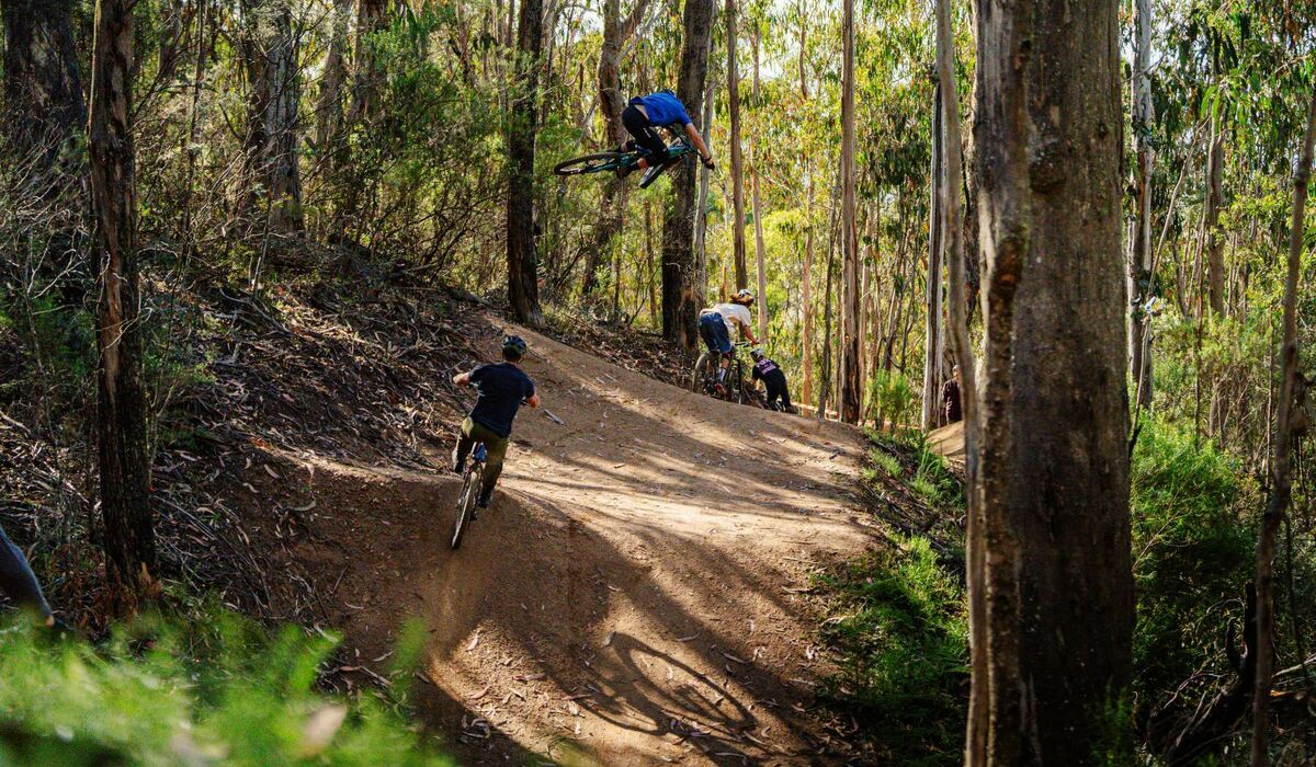 Omeo Mountain Bike Park | Visit Gippsland