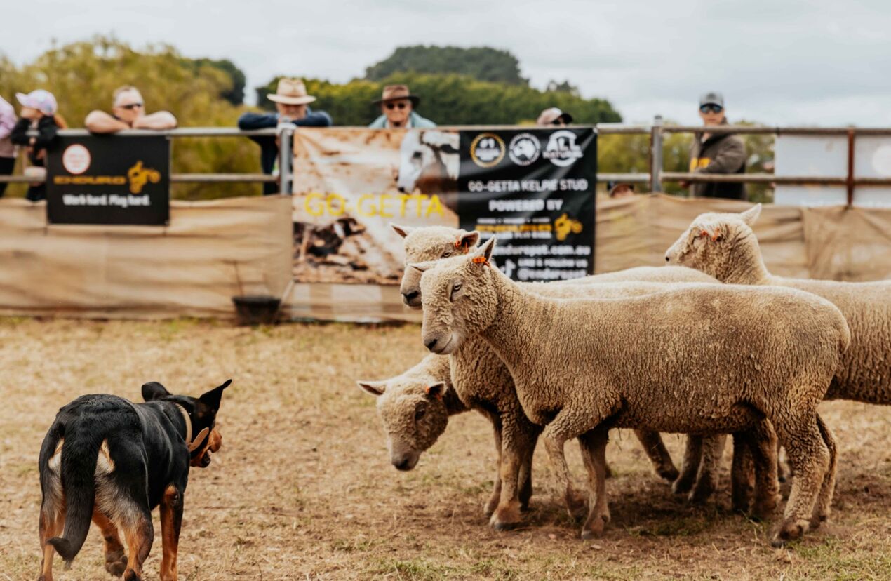 Farm World 2026 | Visit Gippsland