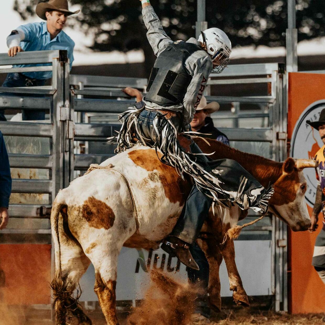 Visit Gippsland | News