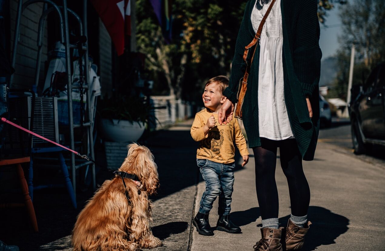 Dog-friendly West Gippsland | Visit Gippsland