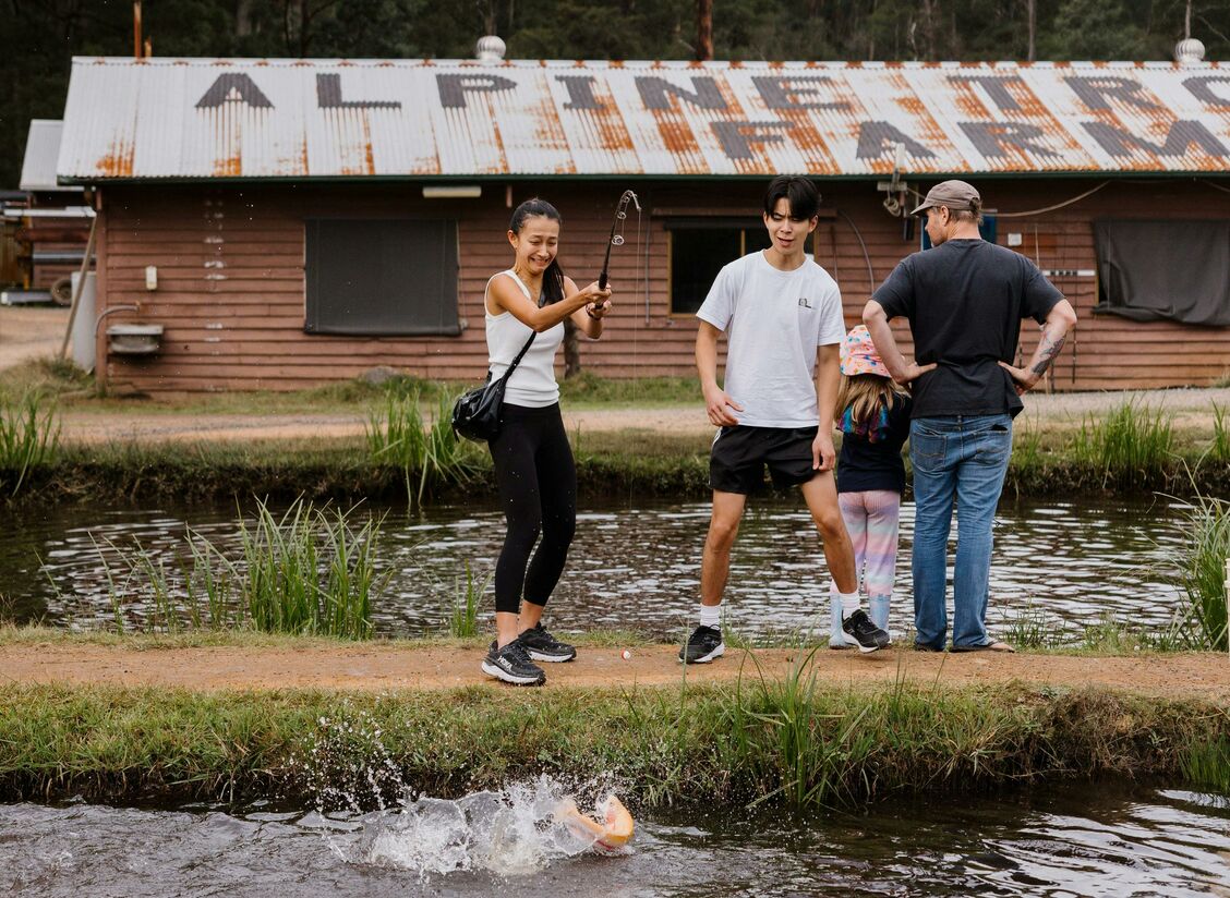 Alpine Trout Farm | Visit Gippsland