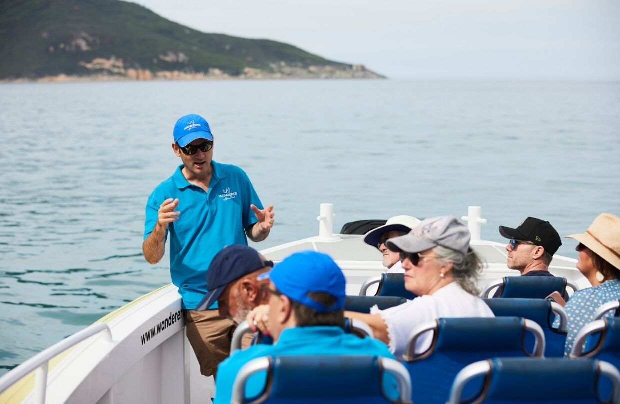 Whale Watching, Wilsons Prom, Gippsland, Vic | Boat… | Visit Gippsland