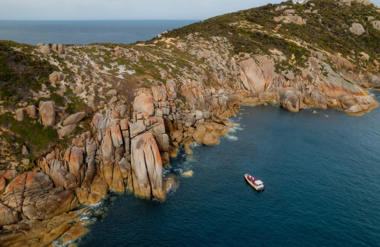 Whale Watching, Wilsons Prom, Gippsland, Vic | Boat… | Visit Gippsland