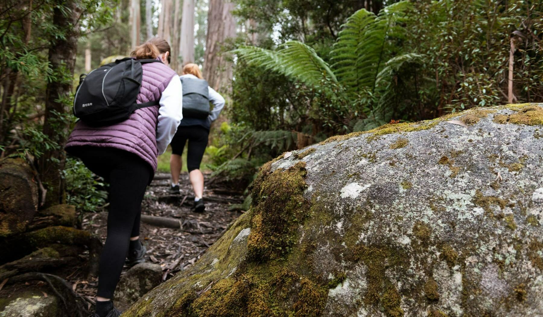 Mushroom Rocks Walk | Visit Gippsland