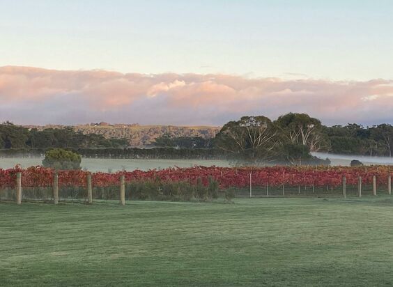 Corner Inlet Vineyard | Visit Gippsland