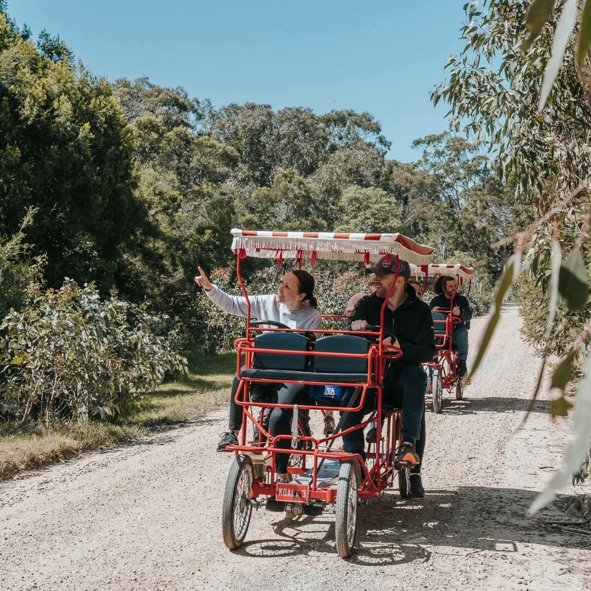 Raymond Island Travel Guide: Where to Eat, Stay and… | Visit Gippsland