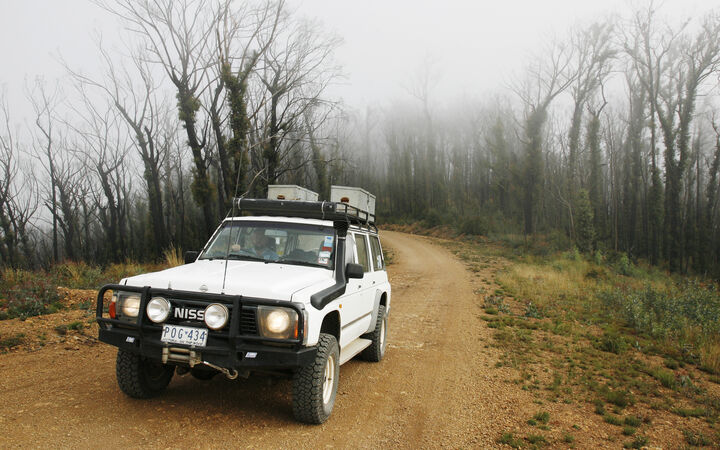 Dargo Travel Guide: Where to Eat, Stay and Play | Visit Gippsland