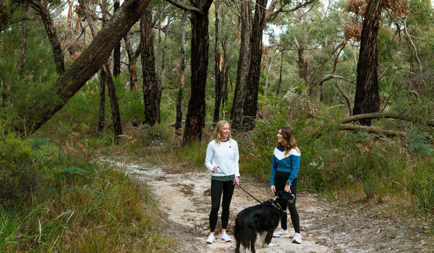 The Gurdies | Visit Gippsland