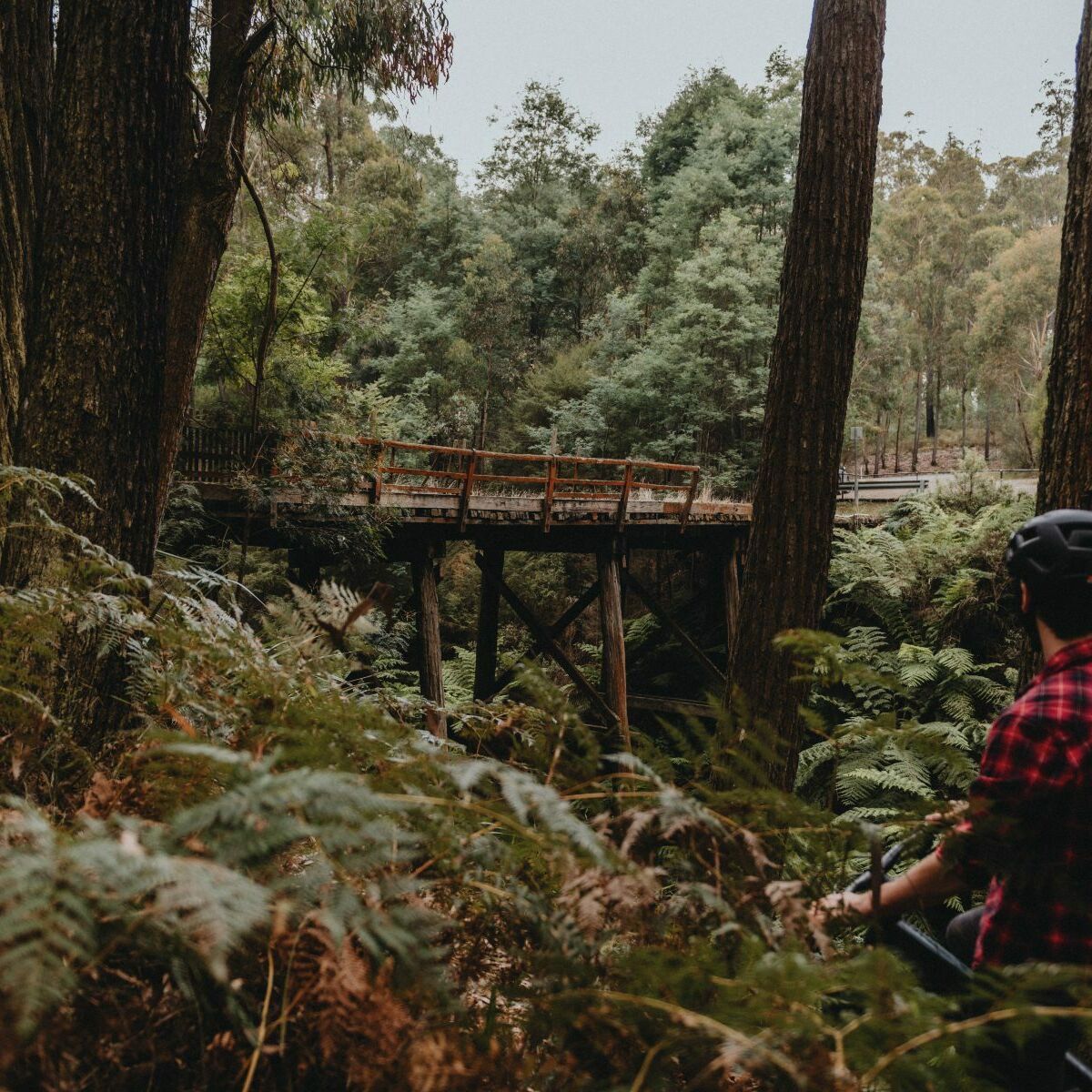 Neerim South Travel Guide: Where to Eat, Stay and… | Visit Gippsland