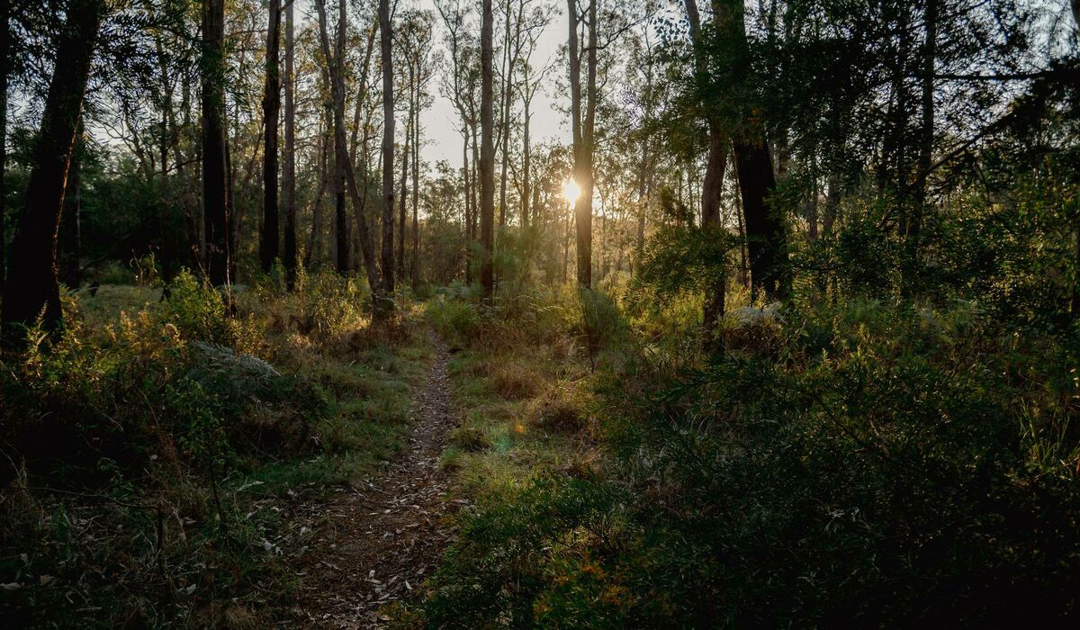 Bruthen Walking Trails | Visit Gippsland