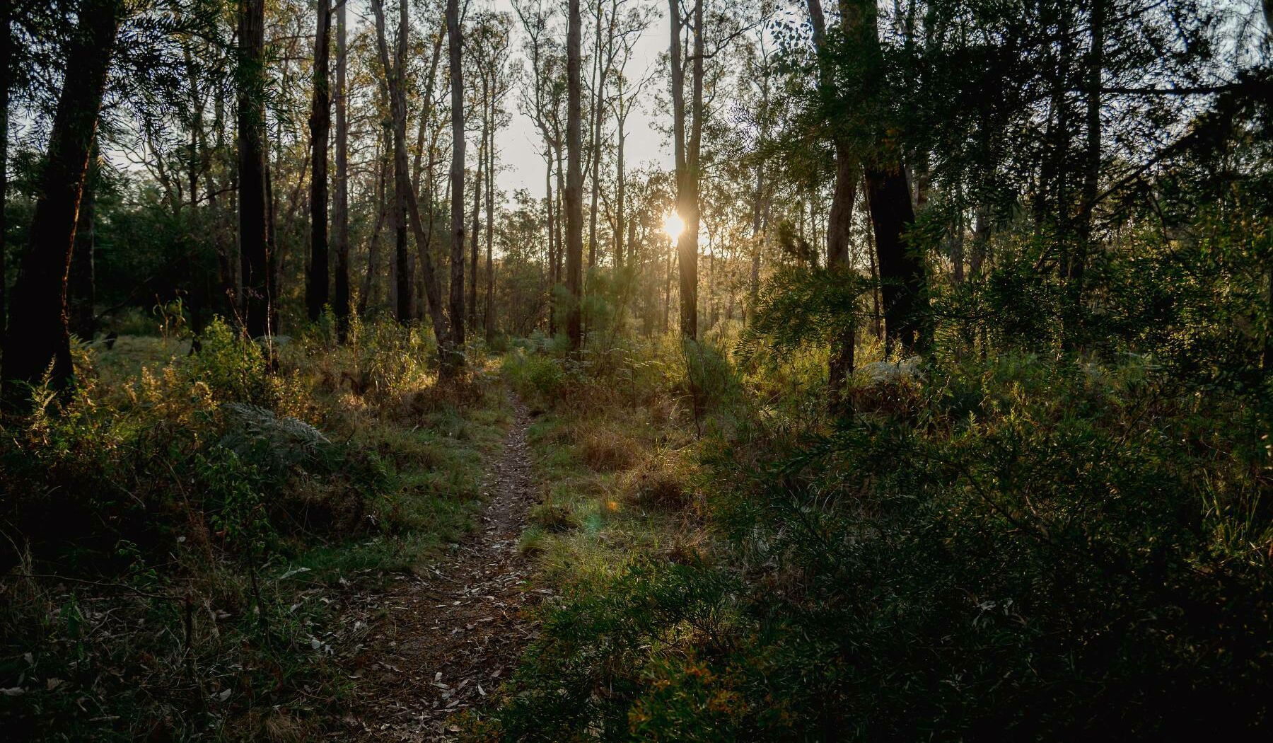 Bruthen Walking Trails | Visit Gippsland
