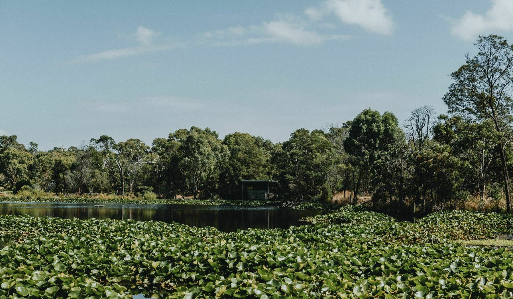 Traralgon Railway Reservoir Conservation Reserve | Visit Gippsland