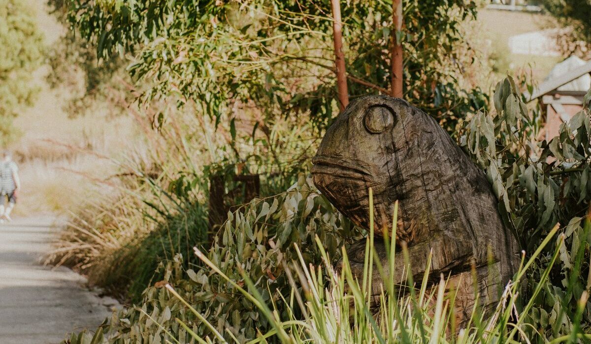 Neerim South Wetlands | Visit Gippsland