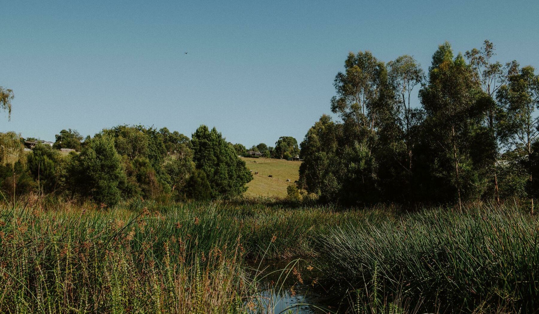 Neerim South Wetlands | Visit Gippsland