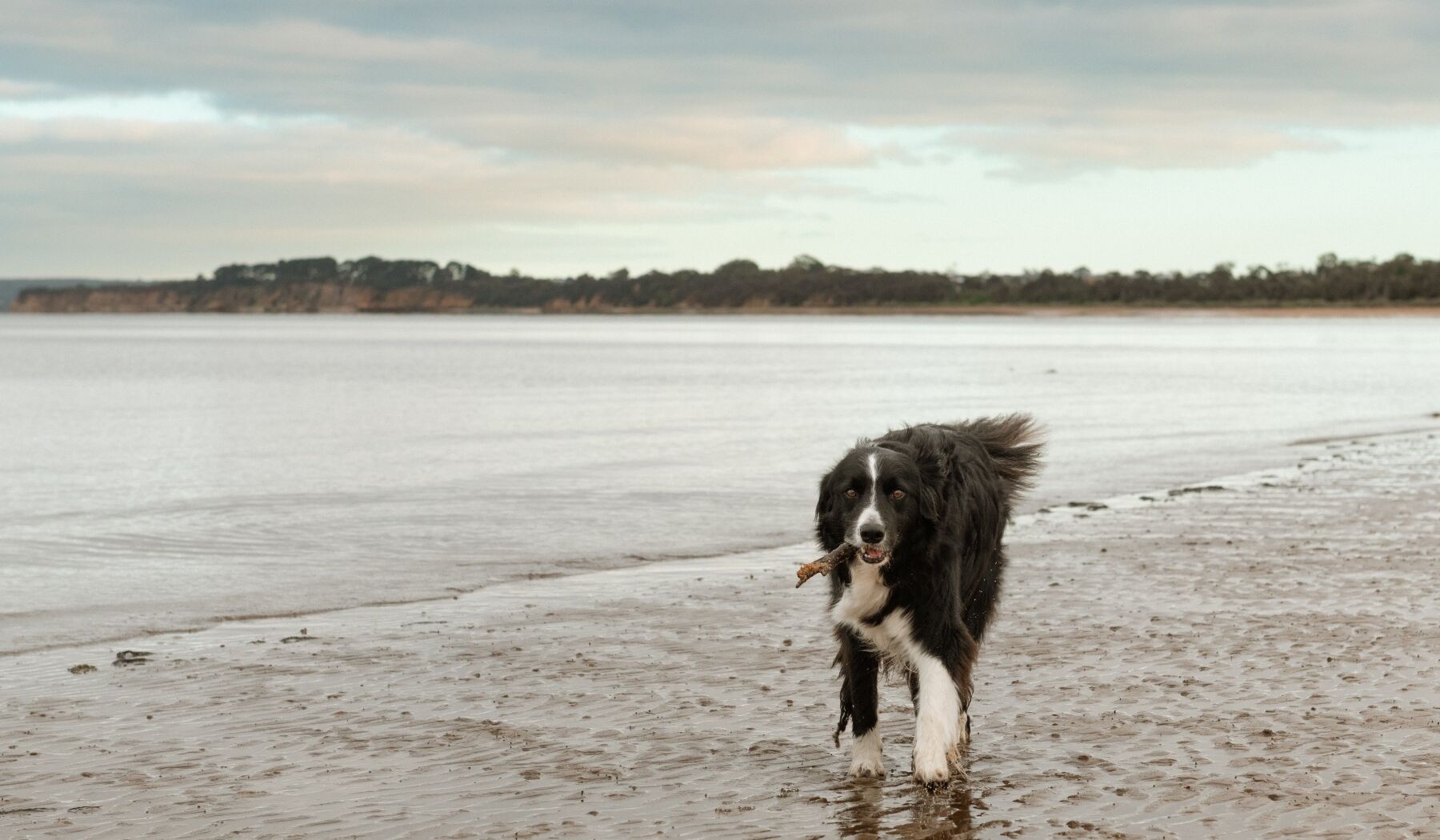 Coronet Bay | Visit Gippsland