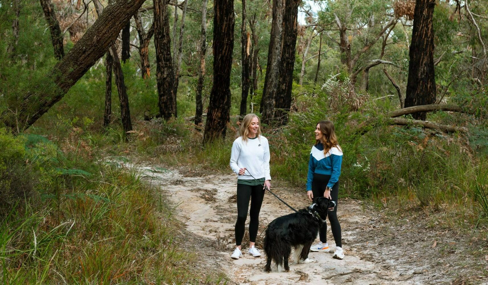 The Gurdies | Visit Gippsland