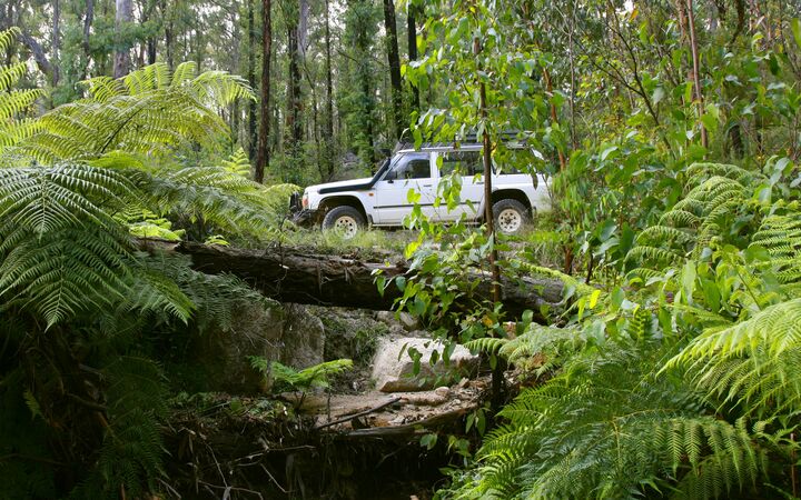 Cann River Travel Guide: Where to Eat, Stay and Play | Visit Gippsland