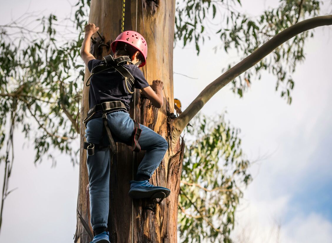 The Great Aussie Bush Camp - Camp Rumbug | Visit Gippsland