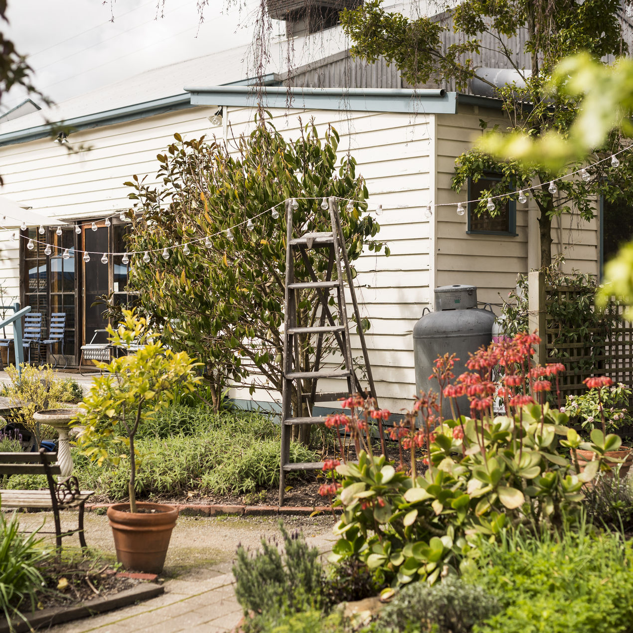 Great Southern Rail Trail | Visit Gippsland