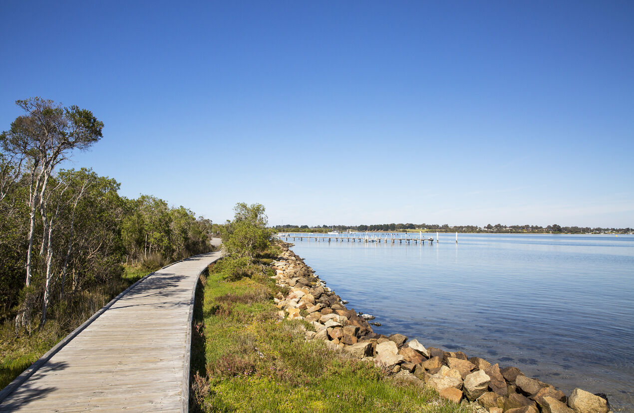 Raymond Island Travel Guide: Where to Eat, Stay and… | Visit Gippsland