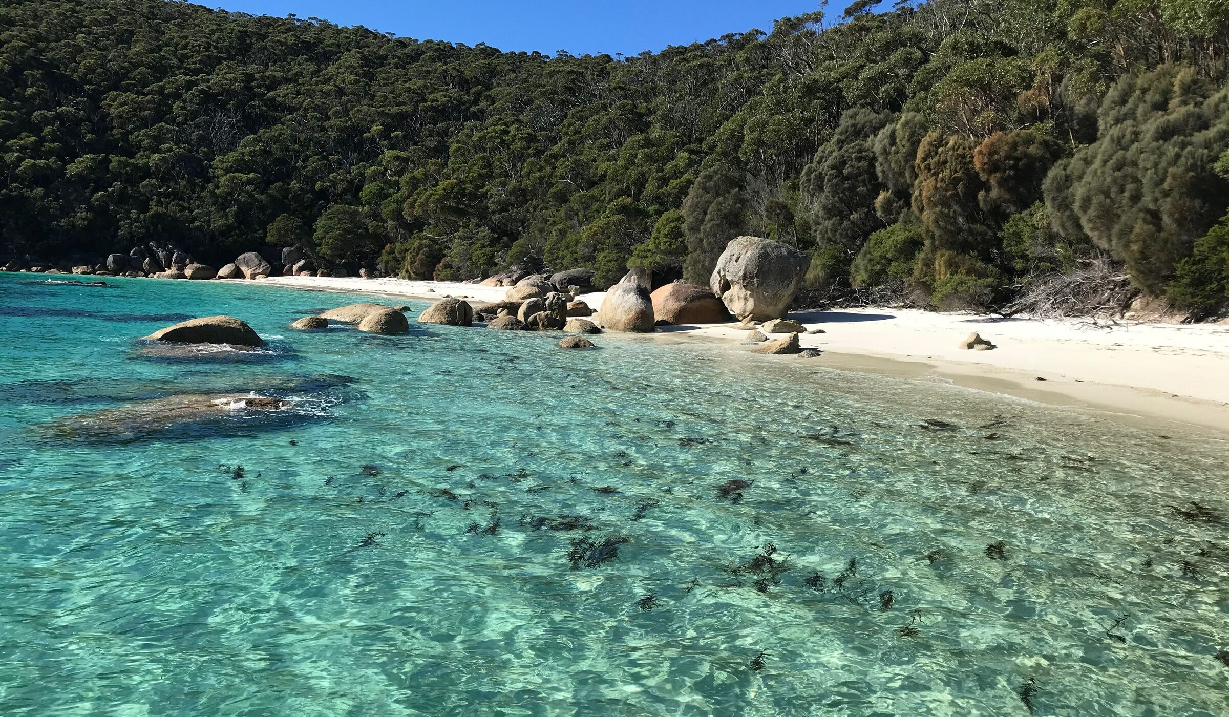 Wilsons Promontory Southern Circuit Walk | Visit Gippsland
