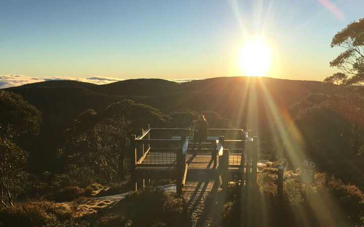 Ada Tree Rainforest Walk | Visit Gippsland