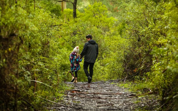 Morwell River Falls Reserve | Visit Gippsland