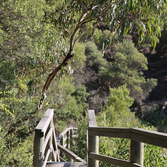 Cape Conran Travel Guide: Where to Eat, Stay and… | Visit Gippsland