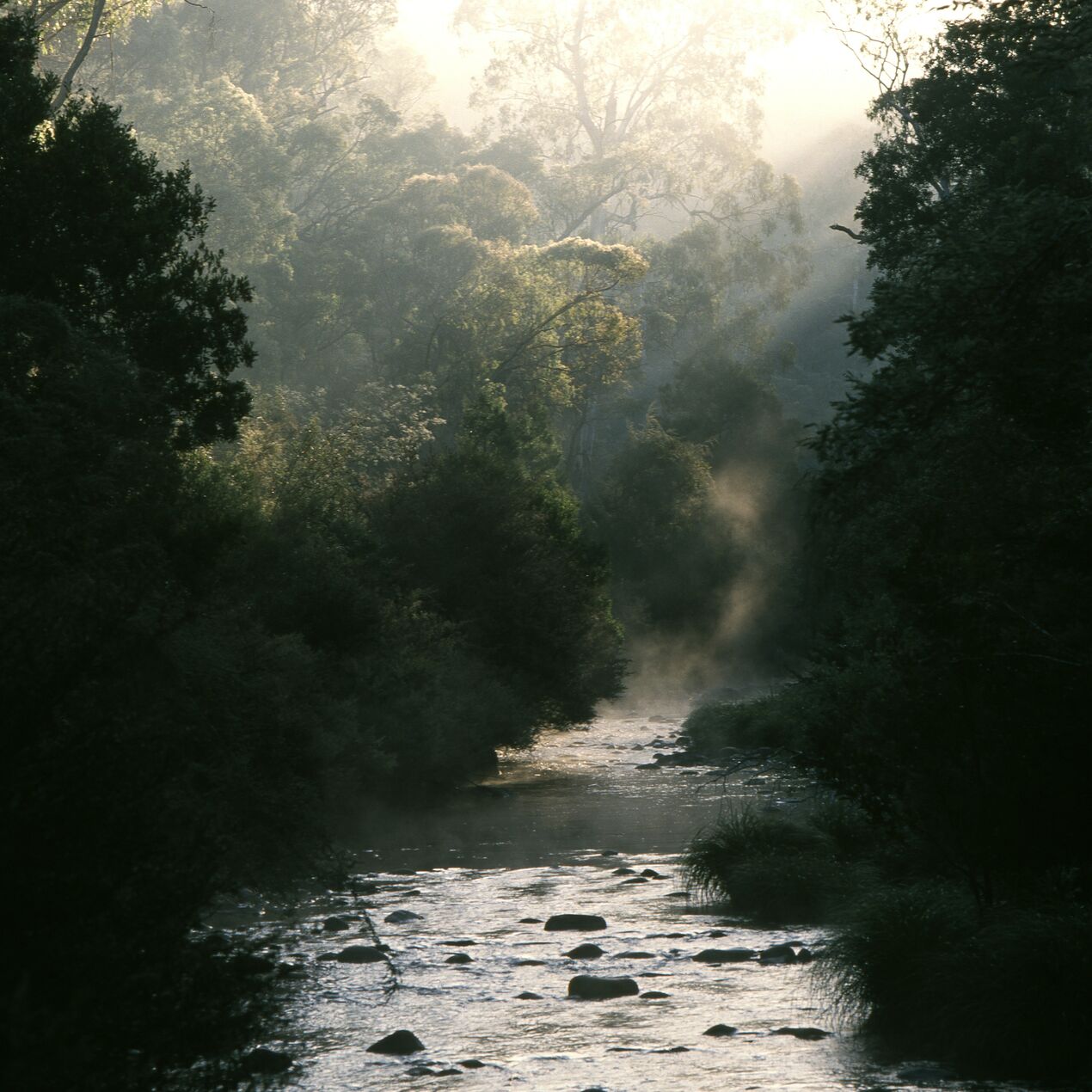 Alpine National Park | Visit Gippsland