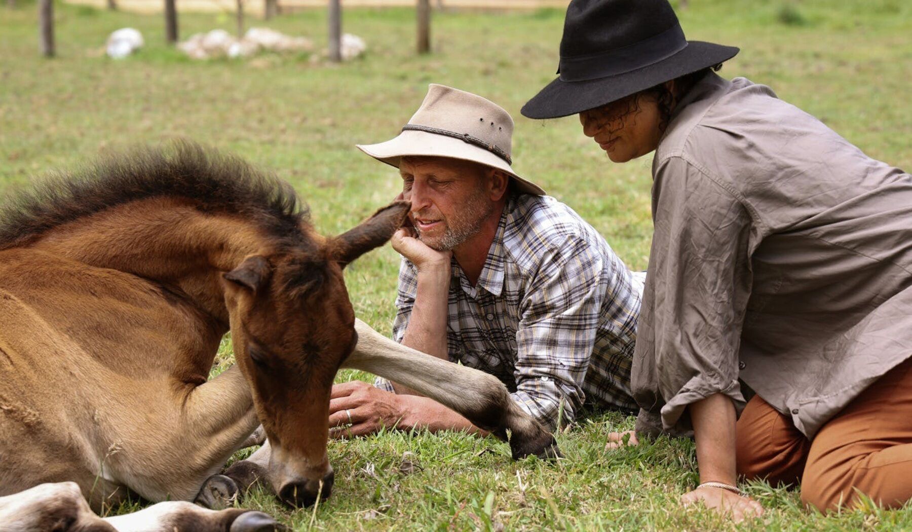 Wattle Bank Farm, a Sustainable Heaven | Visit Gippsland