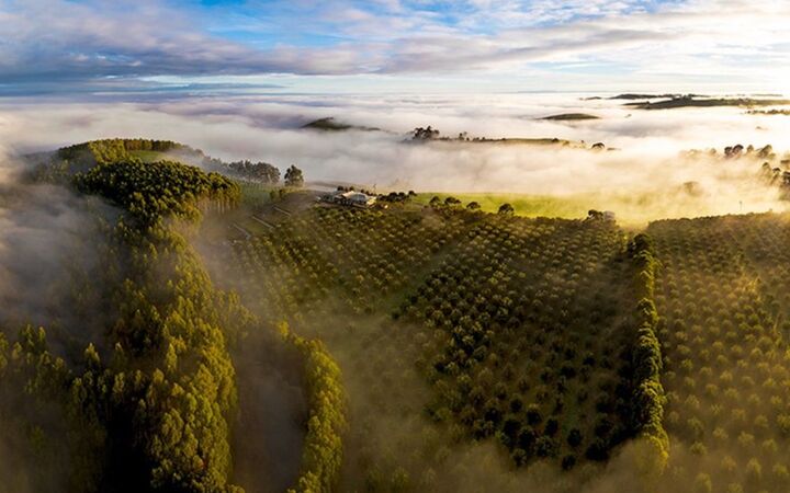 The Gurdies | Visit Gippsland