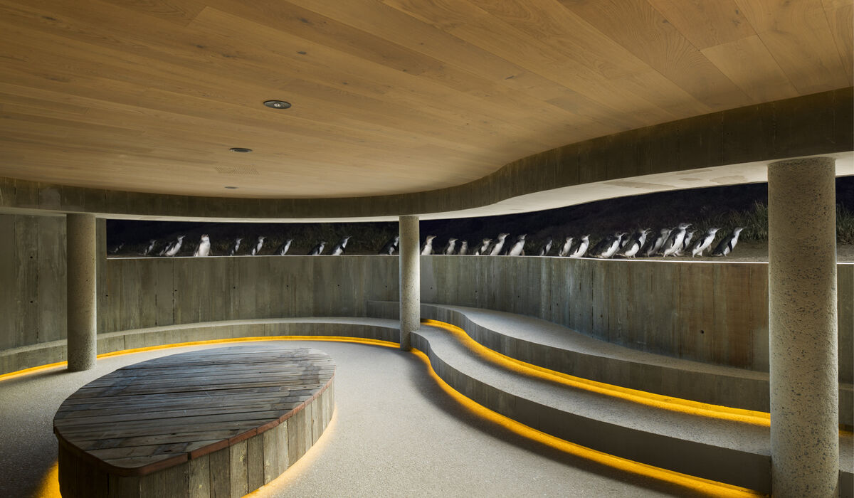 Visit the Phillip Island Penguin Parade | Visit Gippsland