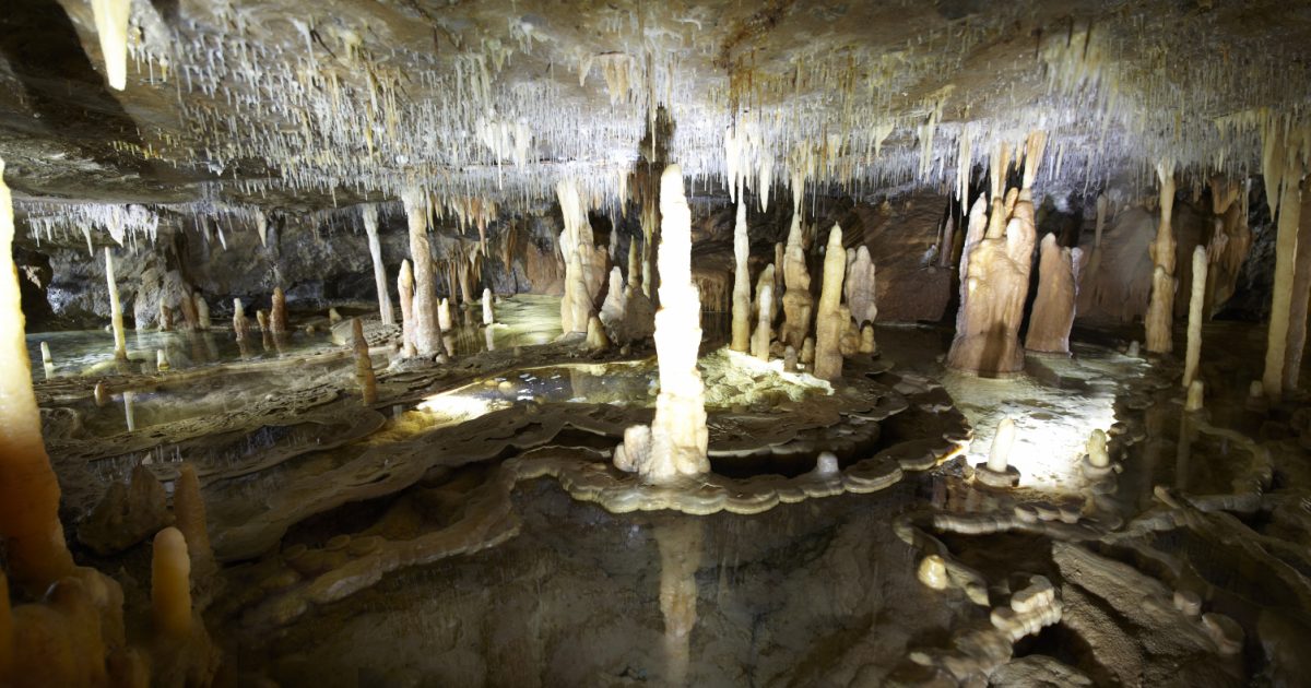 Buchan Caves Travel Guide: Explore Victoria's… | Visit Gippsland