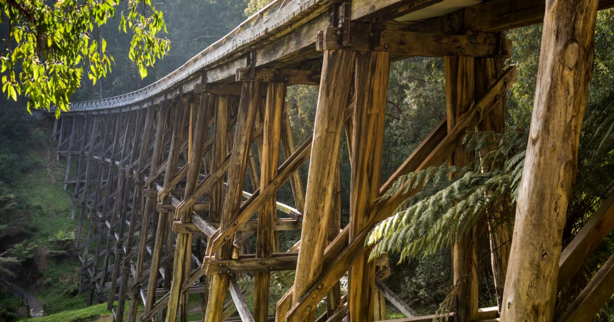 Noojee Travel Guide: Where to Eat, Stay and Play | Visit Gippsland