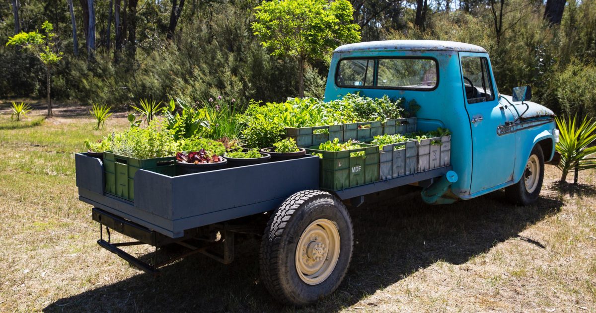 Farm Gates & Produce | Visit Gippsland