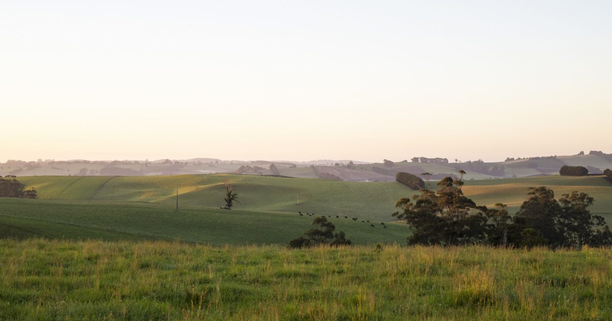 Mirboo North Travel Guide: Where to Eat, Stay and… | Visit Gippsland