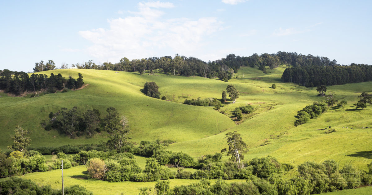Farm Gate: Caldermeade Farm | Visit Gippsland