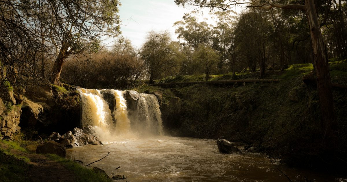 Narracan Falls | Visit Gippsland