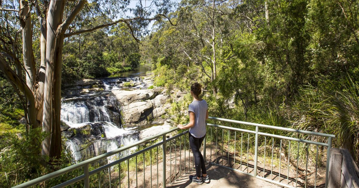 Agnes Falls | Visit Gippsland