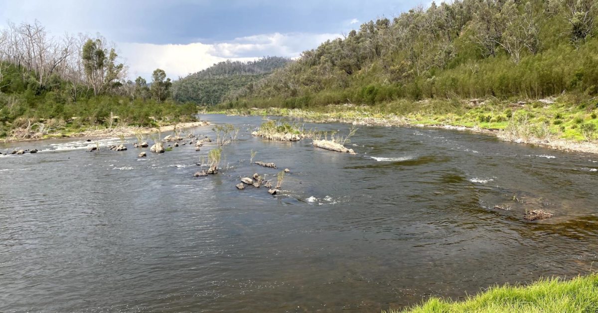 Balley Hooley (The Junction) | Visit Gippsland